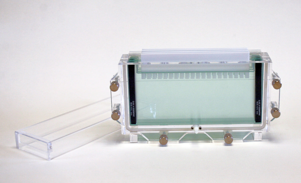 Double-Wide Multi-Caster Kit, 16 cm height – CBS Scientific