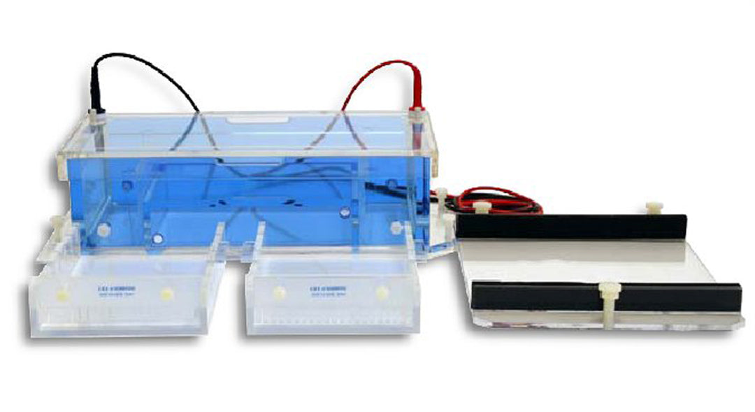 Horizontal Systems – CBS Scientific