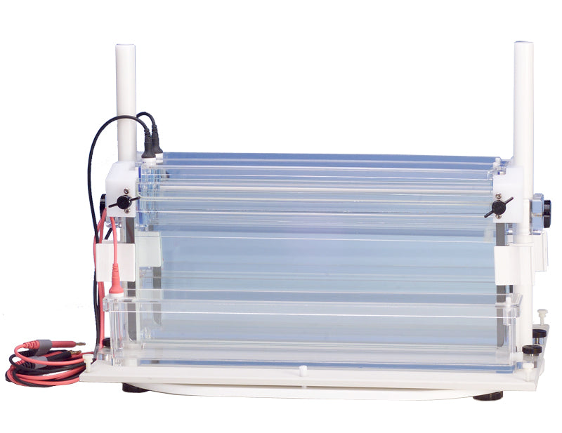 Mega Gel High Throughput Vertical Electrophoresis System – CBS Scientific